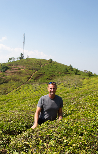 About Us | Seelect Tea