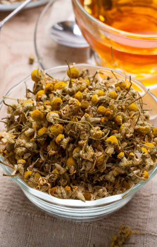 Why Should You Drink Melatonin Tea? | Seelect Tea